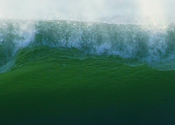 Commemorative Session